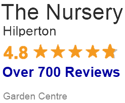 The Nursery Garden Centre Near Trowbridge Wiltshire